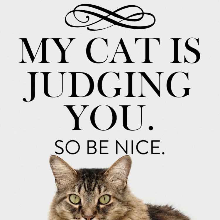 My cat is judging you - Aluminium composite panel | Choose, Customize ...